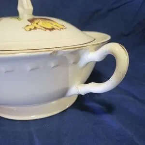 Crooksvville | Dining | Crooksville Begonia Ivalure Soup Tureen Rare ...